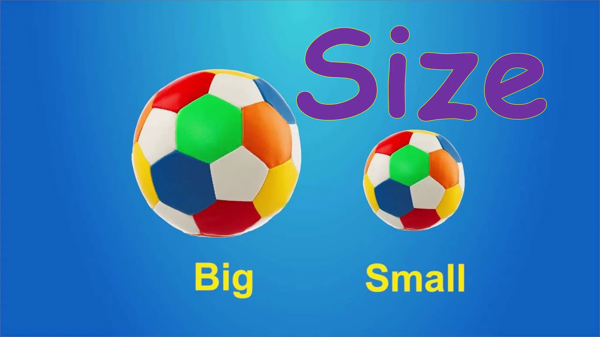 SIZES BIG AND SMALL VOCABULARY MY FAMILY | PPTX | Education