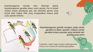 K3. KONSERVASI PADA TINGKAT GENETIK, SPESIES, POPULASI (1).pptx