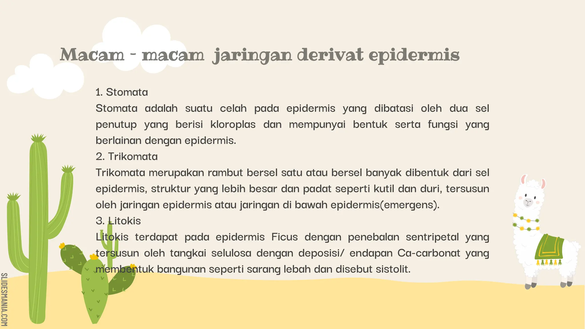 K4 EPIDERMIS DAN DERIVATNYA (VAVA)..pptx