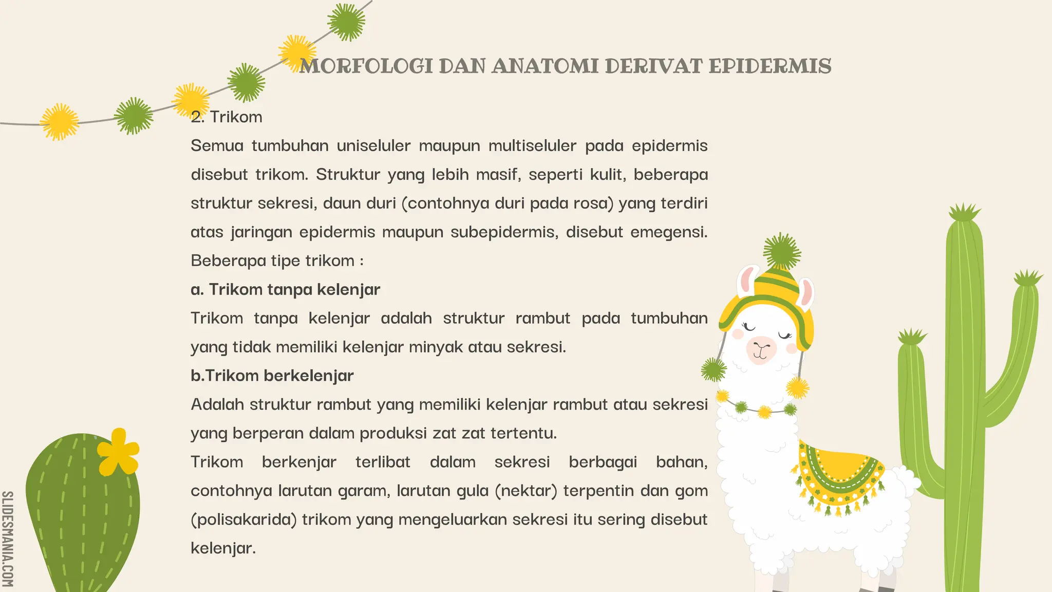K4 EPIDERMIS DAN DERIVATNYA (VAVA)..pptx