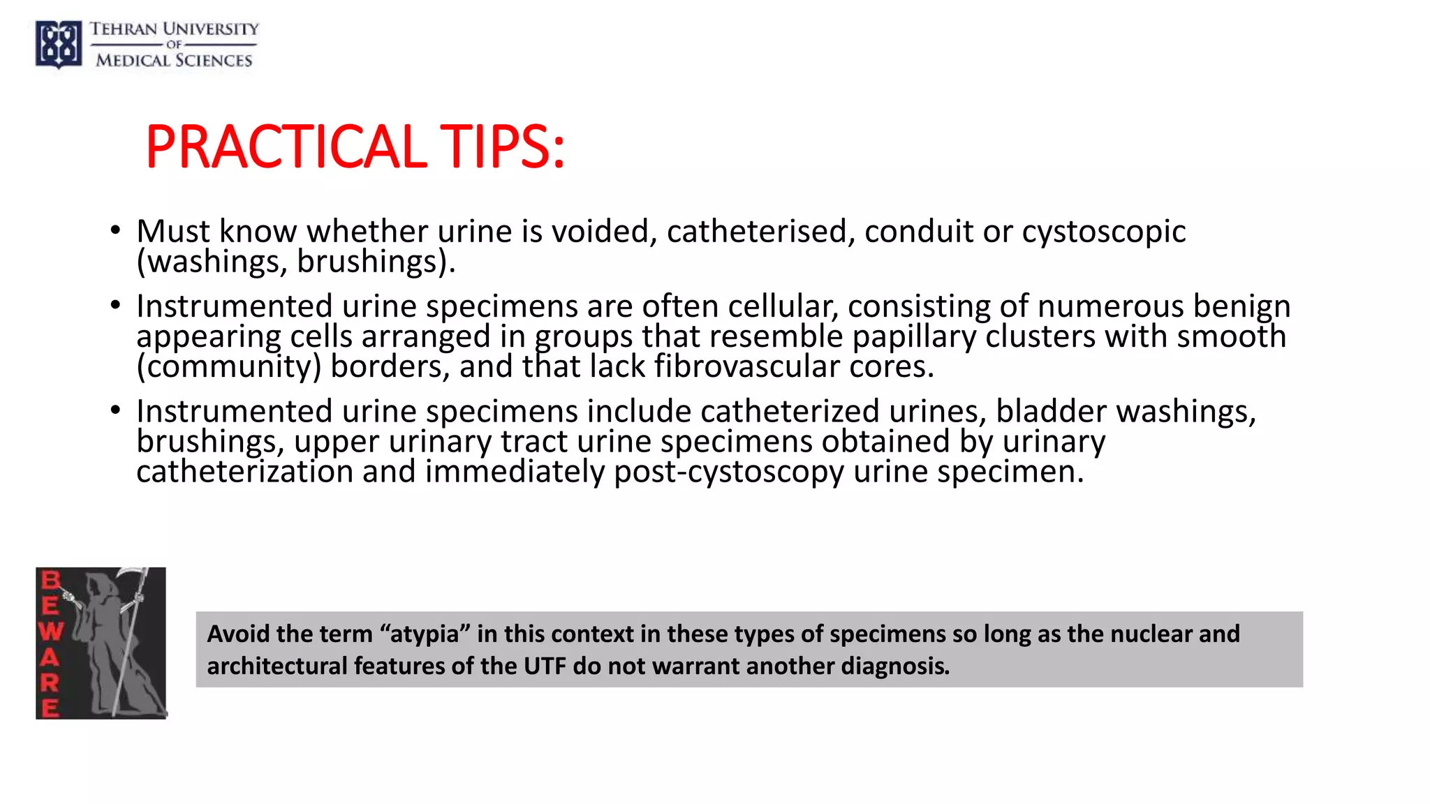 Dr._Ameli._case_presentation_urinary_cytology.pptx