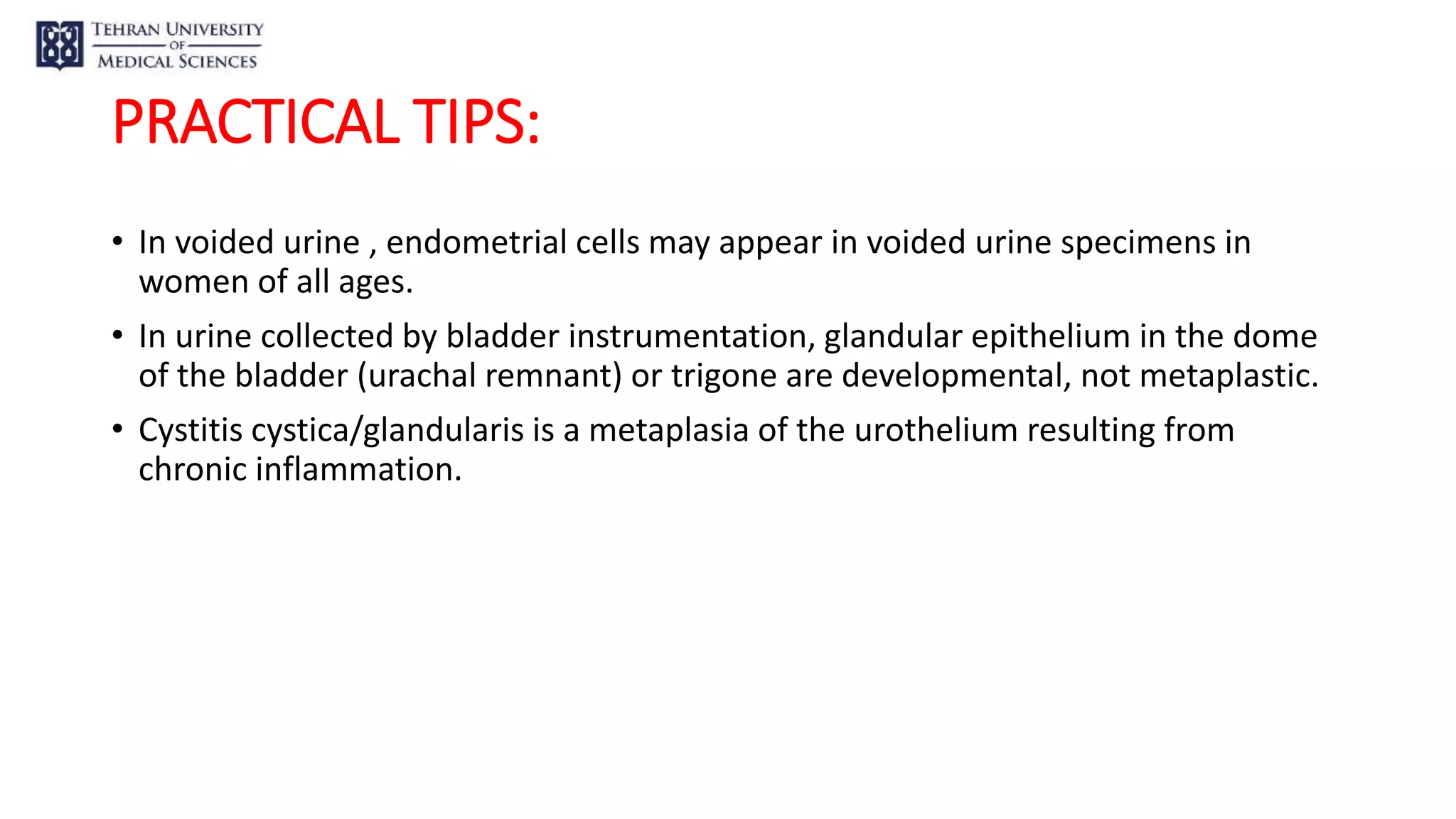 Dr._Ameli._case_presentation_urinary_cytology.pptx