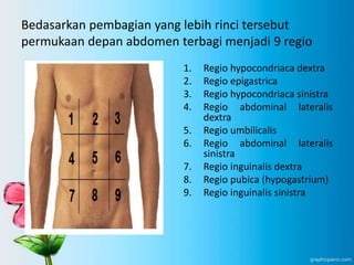 Sistem pencernaan (ade welni, naning) | PPT