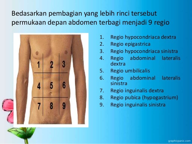 Sistem pencernaan (ade welni, naning)