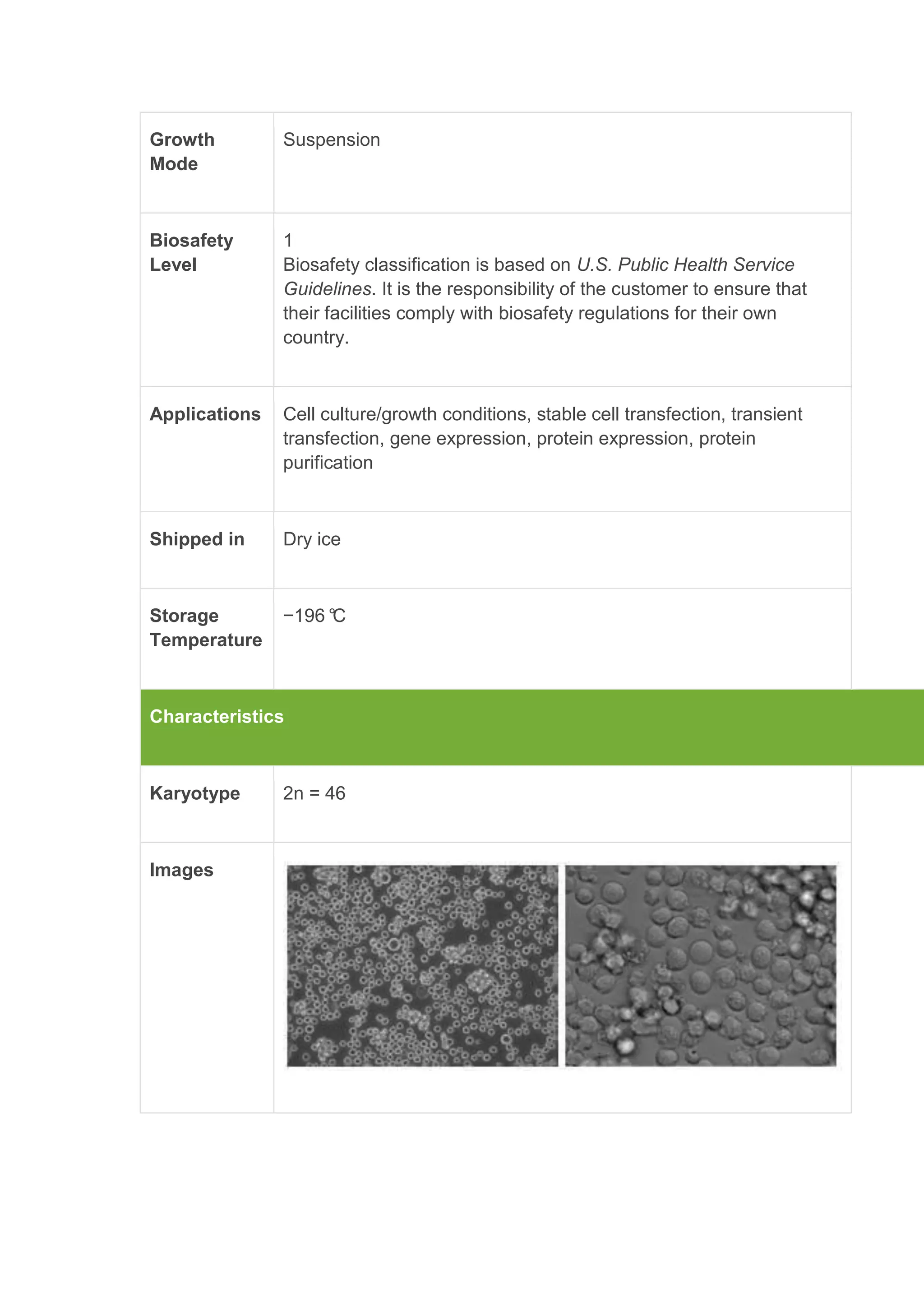 K562 cell line | PDF