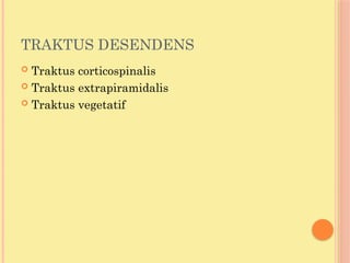 K5, K6 Anatomi Diencephalon dan Medula Spinalis.pptx