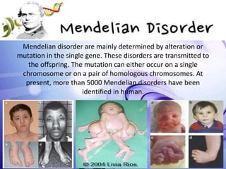Final genetic disorders | PPT