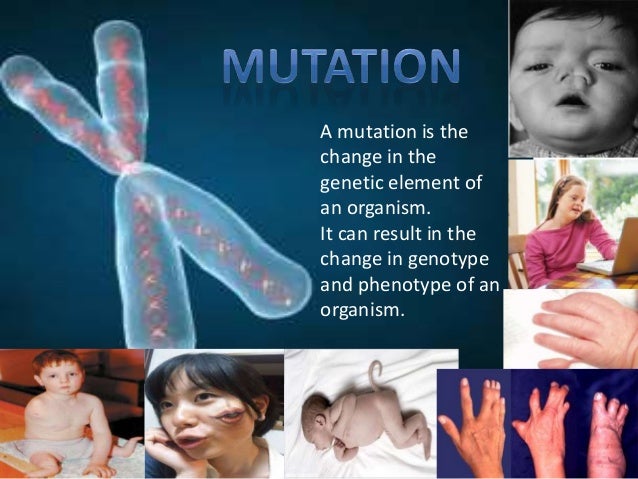 Final genetic disorders