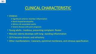 INTERMEDIATE_UVEITIS presentation dhir hospital bhiwani.pptx