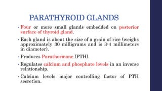 hyper_and_hypoparathyrodism.pptx