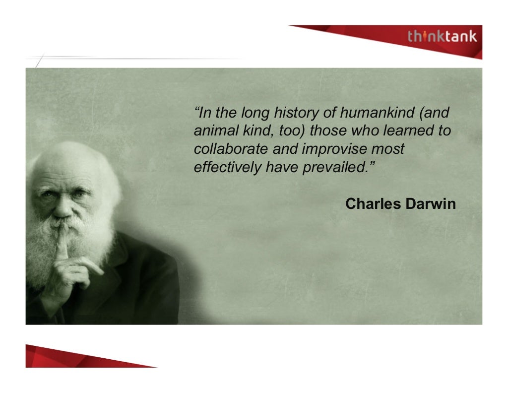 In The Long History Of in-the-long-history-of