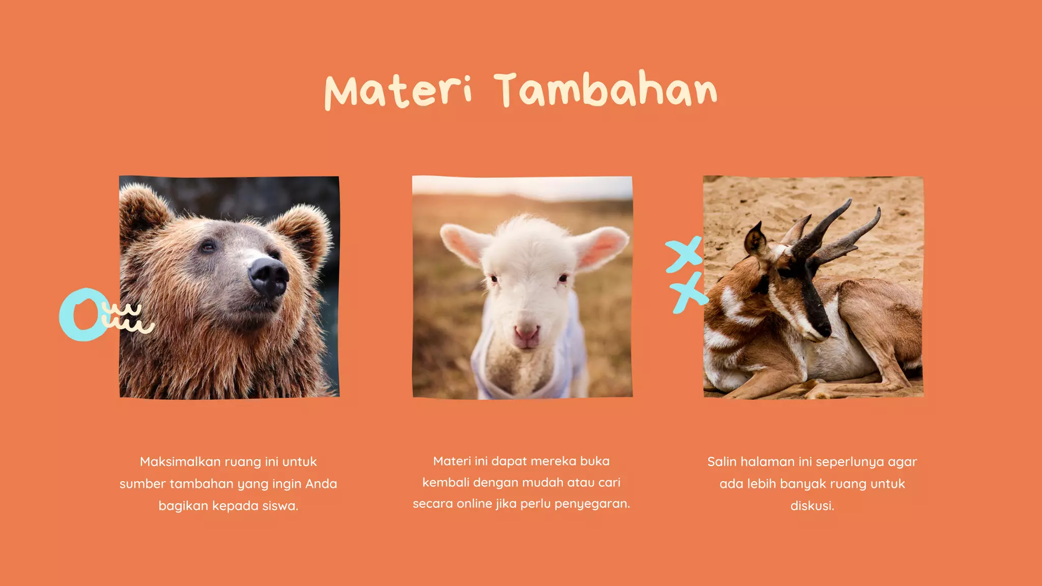 K7 struktur hewan struktur dan fungsi sistem integumen_pend.bioologi 2 ...