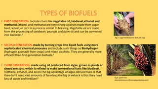 Biofuels: Their scope and limitations | PPT