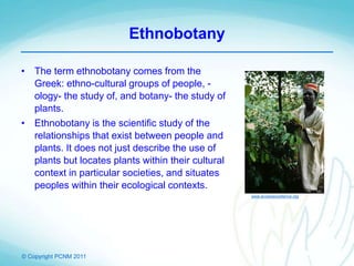Botany session 6 | PPTX | Biological Sciences | Science