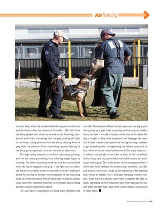 Decoy & Patrol Training | PDF