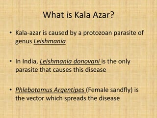 Key Challenges of Kala Azar Elimination Program (2014) | PPT