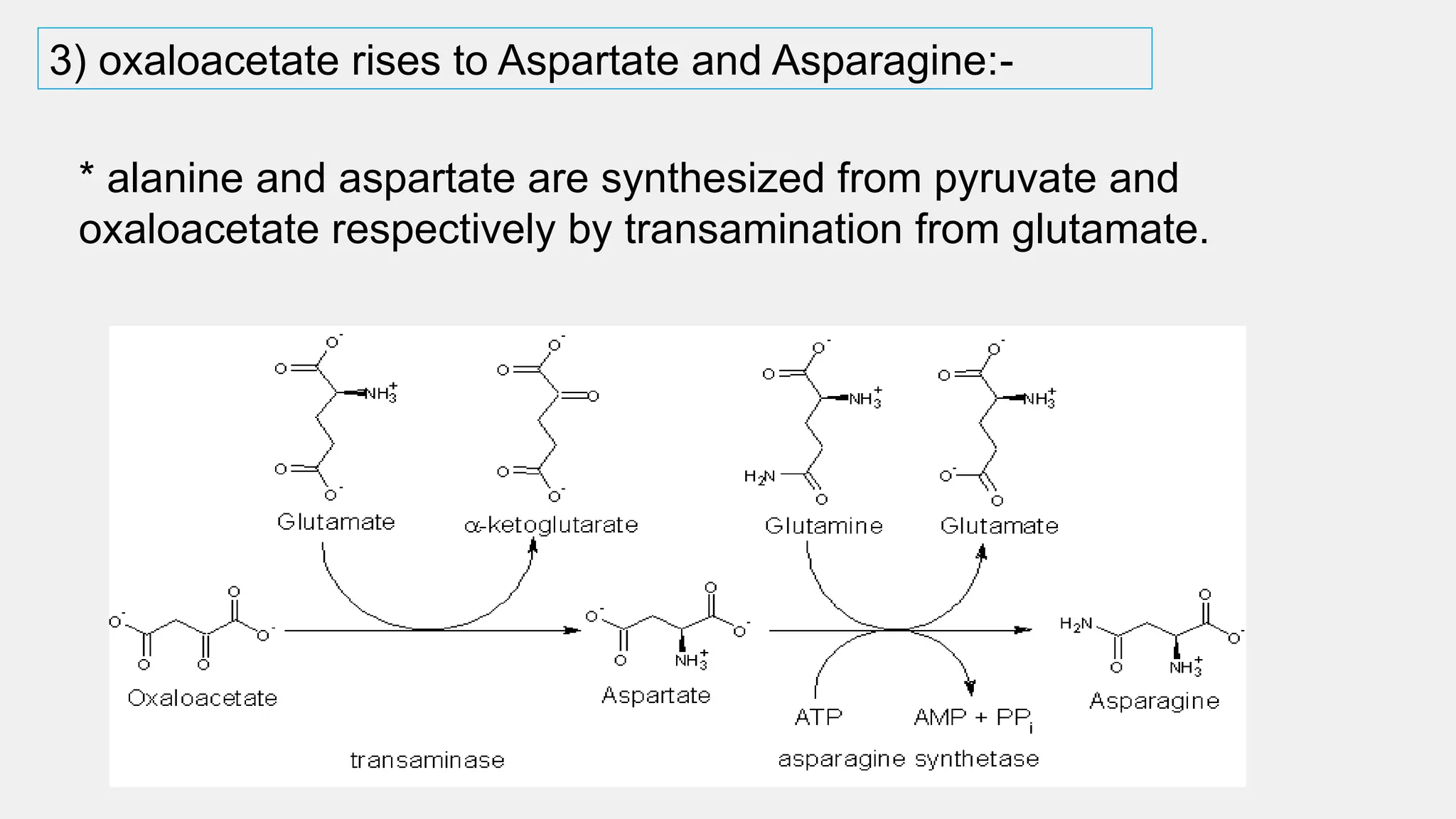 Non essential Amino acid biosynthesis:- glutamate, glutamine , proline ...
