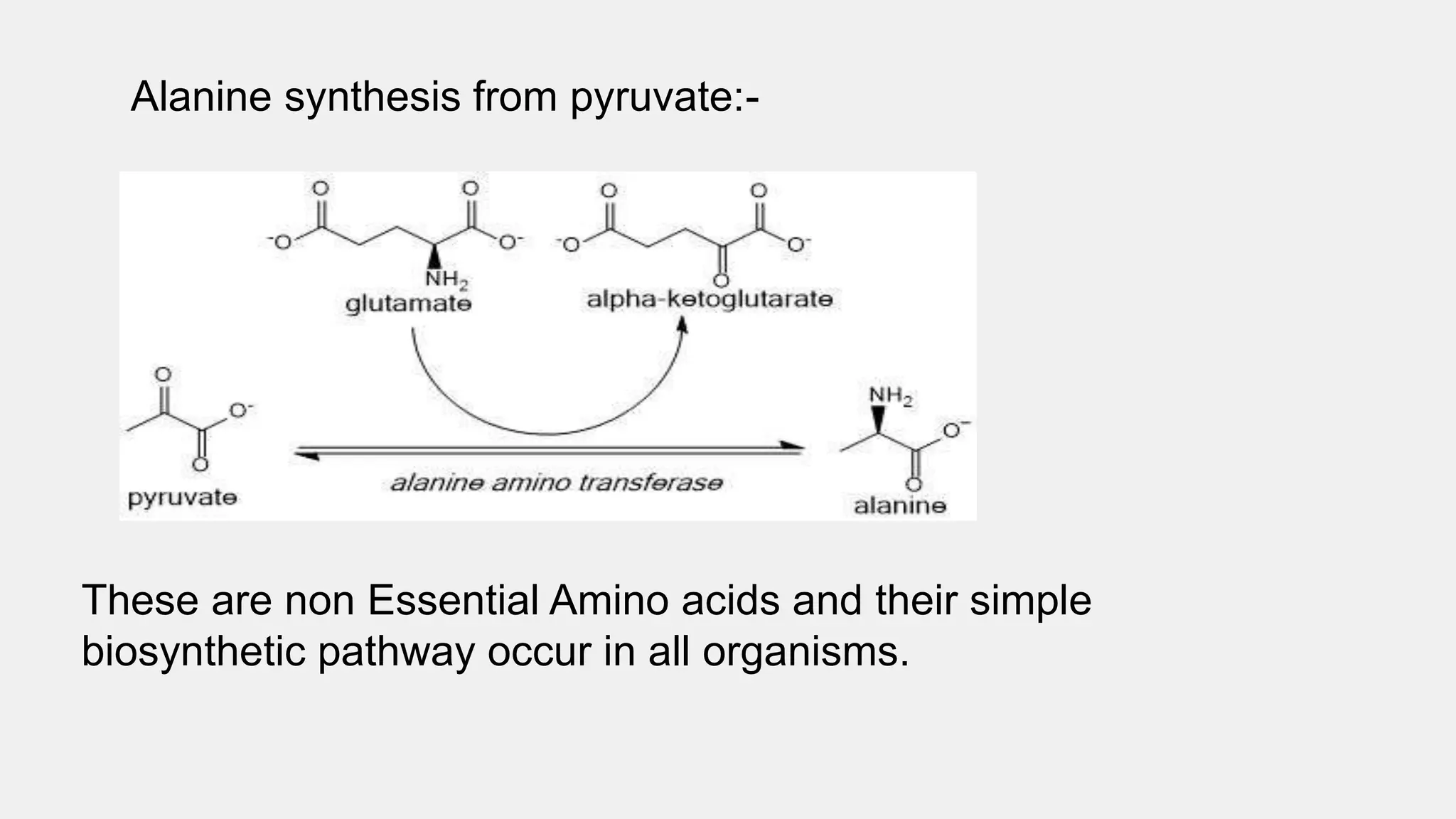 Non essential Amino acid biosynthesis:- glutamate, glutamine , proline ...