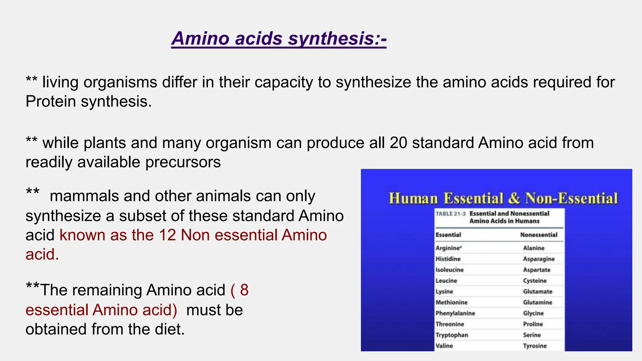 Non essential Amino acid biosynthesis:- glutamate, glutamine , proline ...