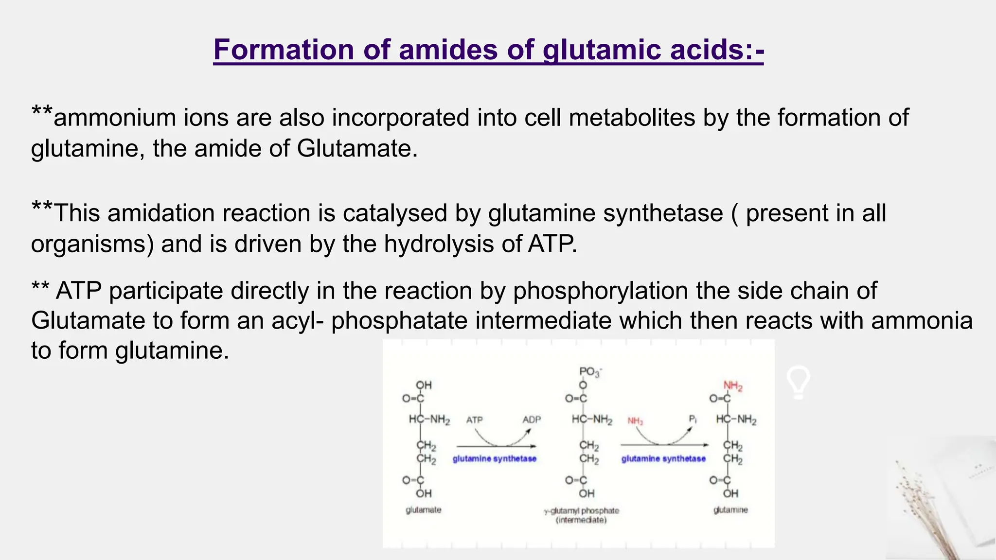 Non essential Amino acid biosynthesis:- glutamate, glutamine , proline ...