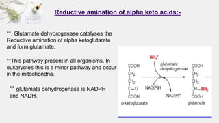 Non essential Amino acid biosynthesis:- glutamate, glutamine , proline ...