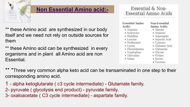Non essential Amino acid biosynthesis:- glutamate, glutamine , proline ...