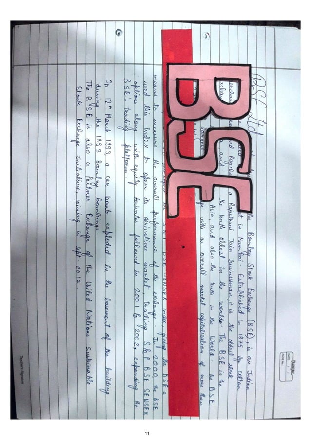 BST Project Class XII on Stock Exchange. | PDF
