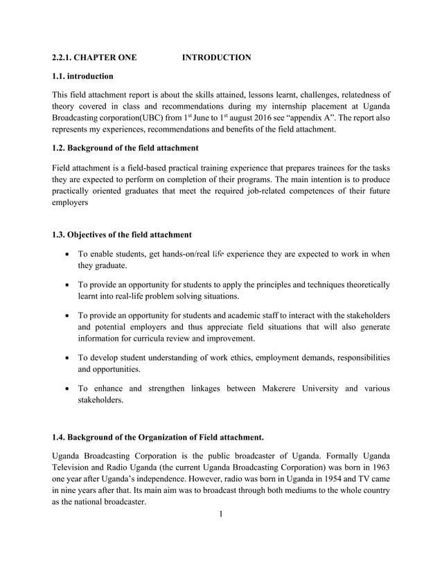 computer science internship report | PDF | Computer Networking | Computing
