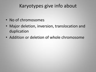 Kaaryotype and abberation | PPT