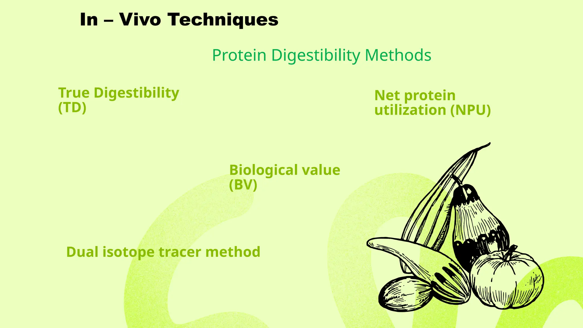 Protein Quality of Foods: An Overview of In Vivo Techniques | PPTX