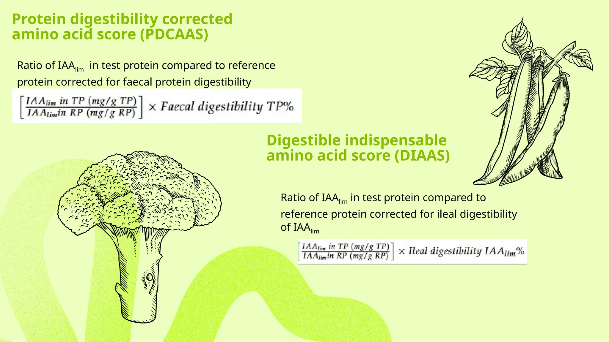 Protein Quality of Foods: An Overview of In Vivo Techniques | PPTX