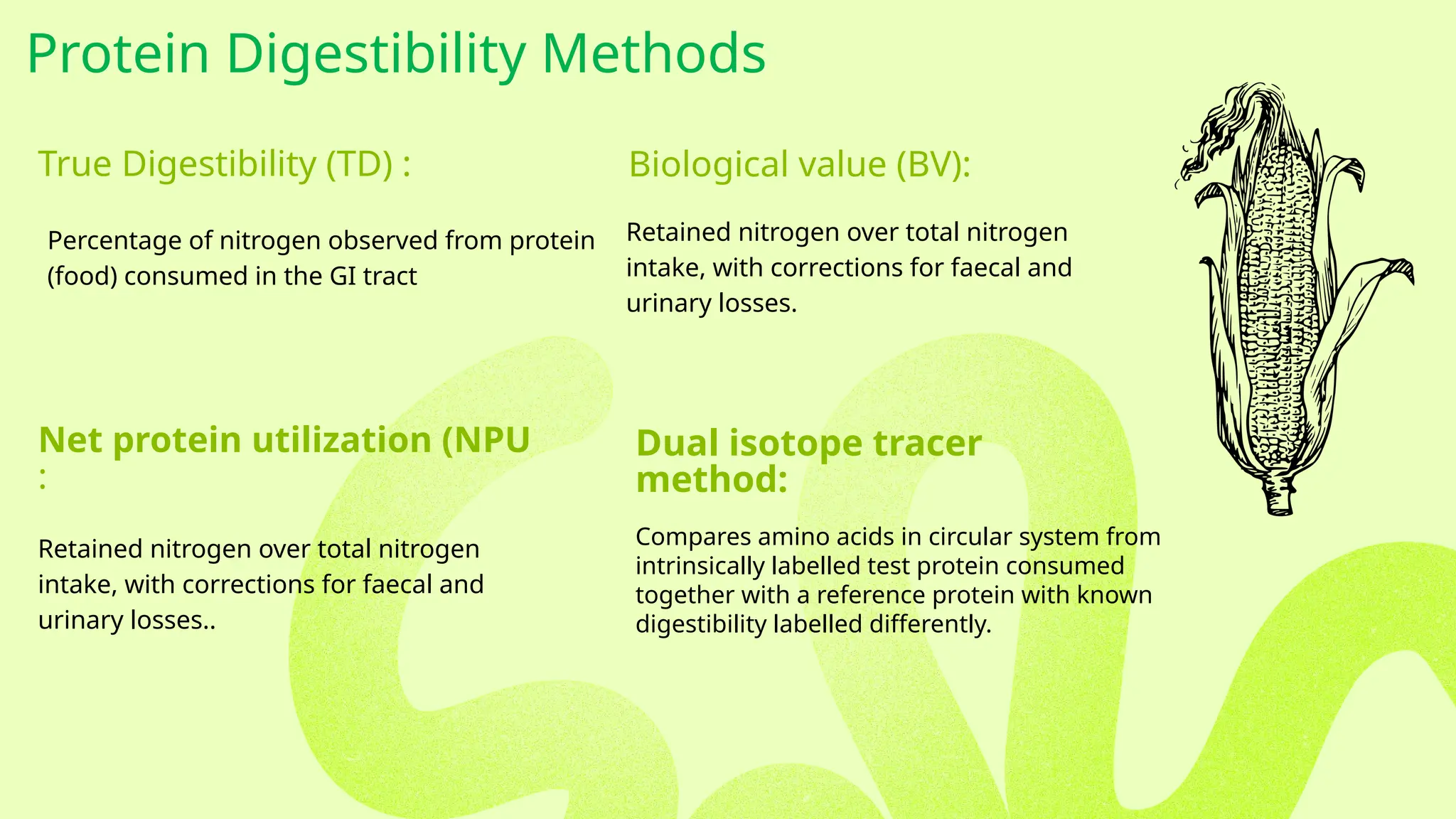 Protein Quality of Foods: An Overview of In Vivo Techniques | PPTX