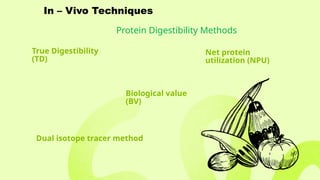 Protein Quality of Foods: An Overview of In Vivo Techniques | PPTX