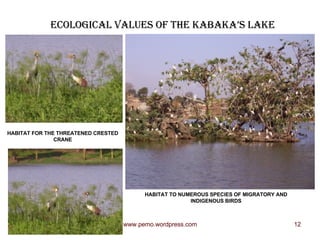 Kabaka’S Lake | PPT