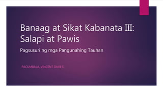 Banaag at Sikat Kabanata III | PPTX