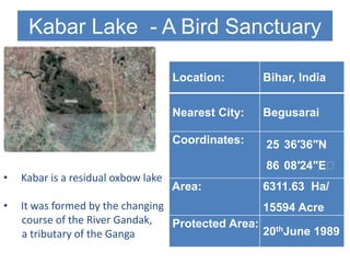 Kabar lake - a floodplain wetland of Bihar-2014 | PPTX