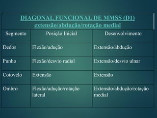 kabat - facilitação neuromuscular proprioceptiva | PPT
