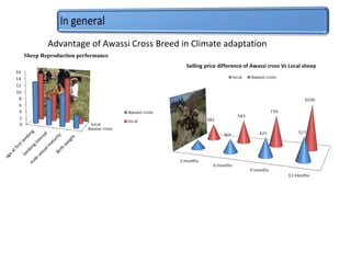 Livestock (breed and feed) interventions at the Kabe Watershed Pilot ...