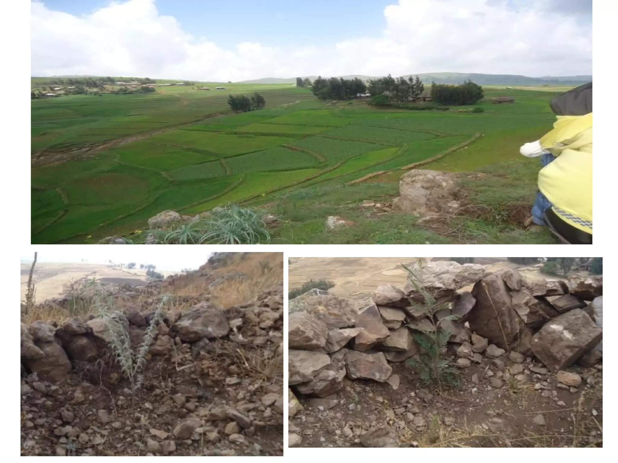 Soil and water conservation and forestry interventions at the Kabe Watershed Pilot Project in ...