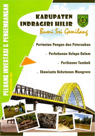 Kabupaten Indragiri Hilir | PDF