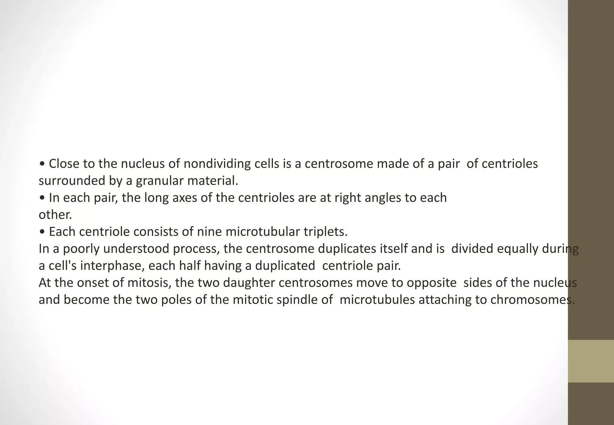 kabuye marvin ppt.pptx