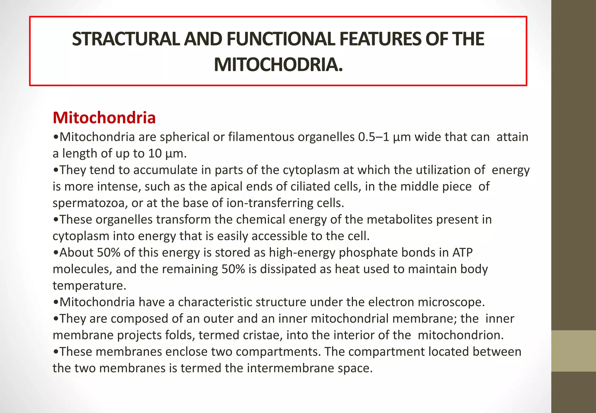 kabuye marvin ppt.pptx