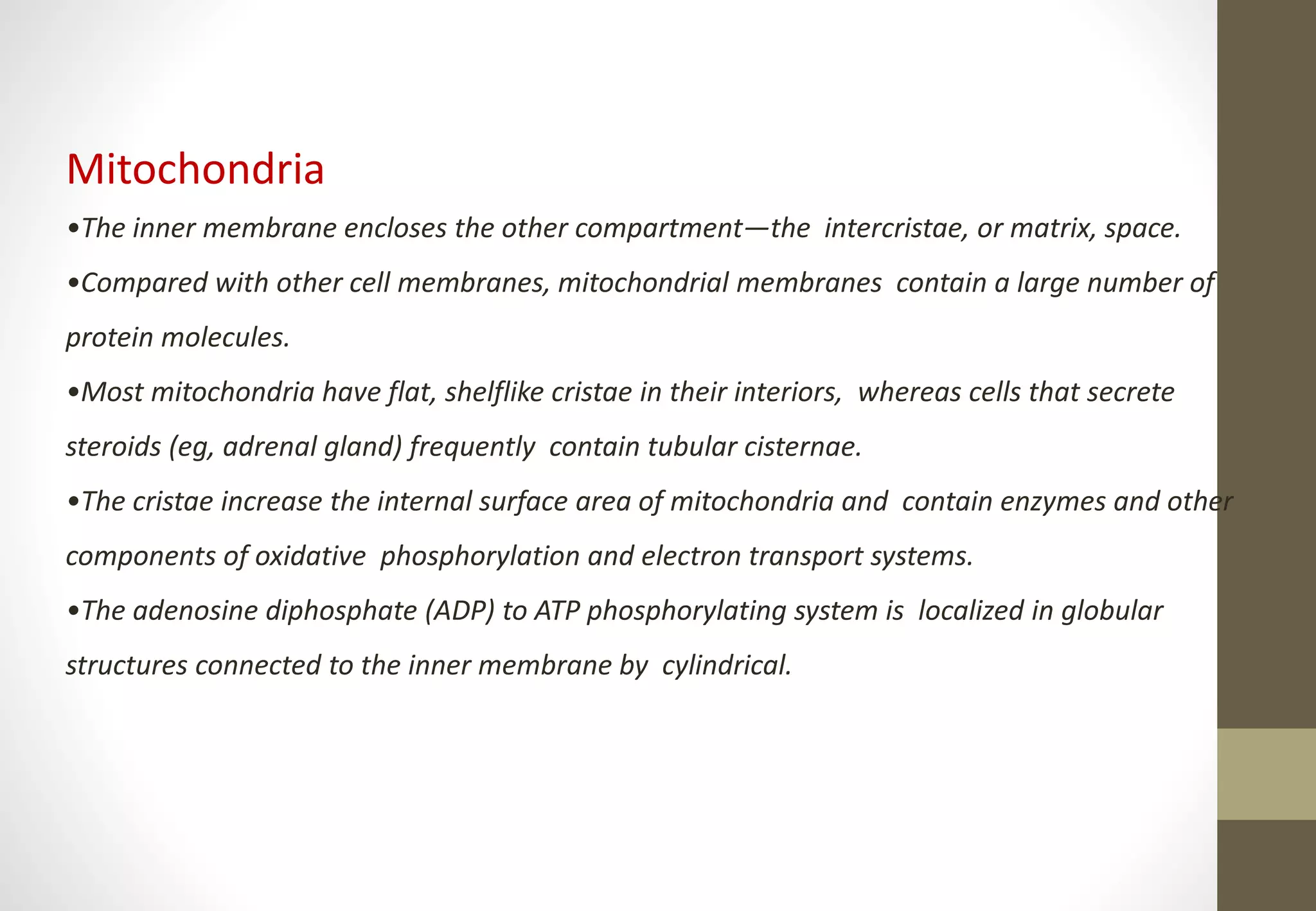 kabuye marvin ppt.pptx