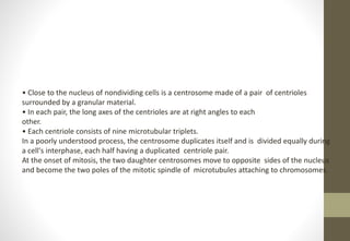 kabuye marvin ppt.pptx