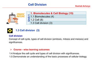 Comprehensive Overview of Cell Division: Processes and Significance in ...