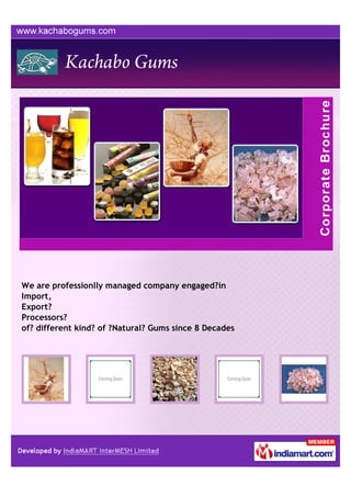 Kachabo Gums, Mumbai, Gum Arabic | PDF