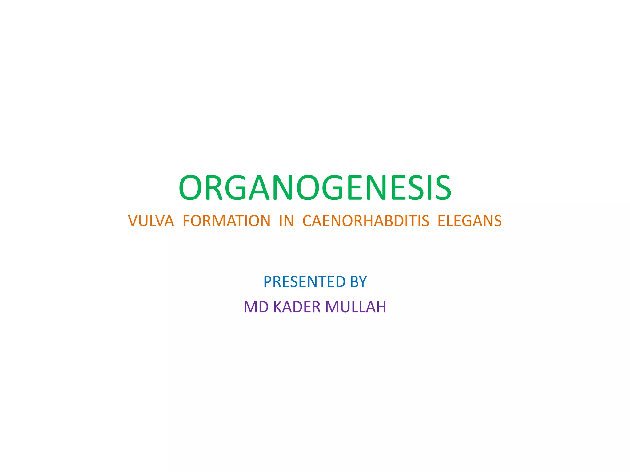 ORGANOGENESIS | PPTX