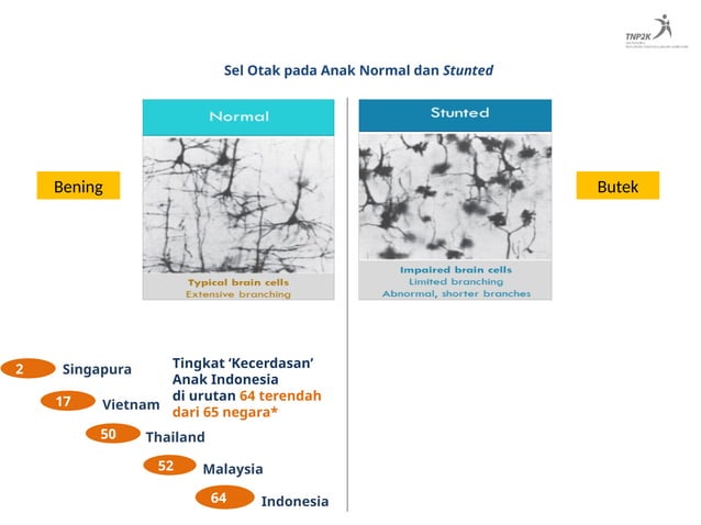 indonesia dalam pencegahan stunting .pptx