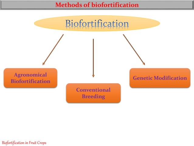Biofortification in fruit crops | PPTX