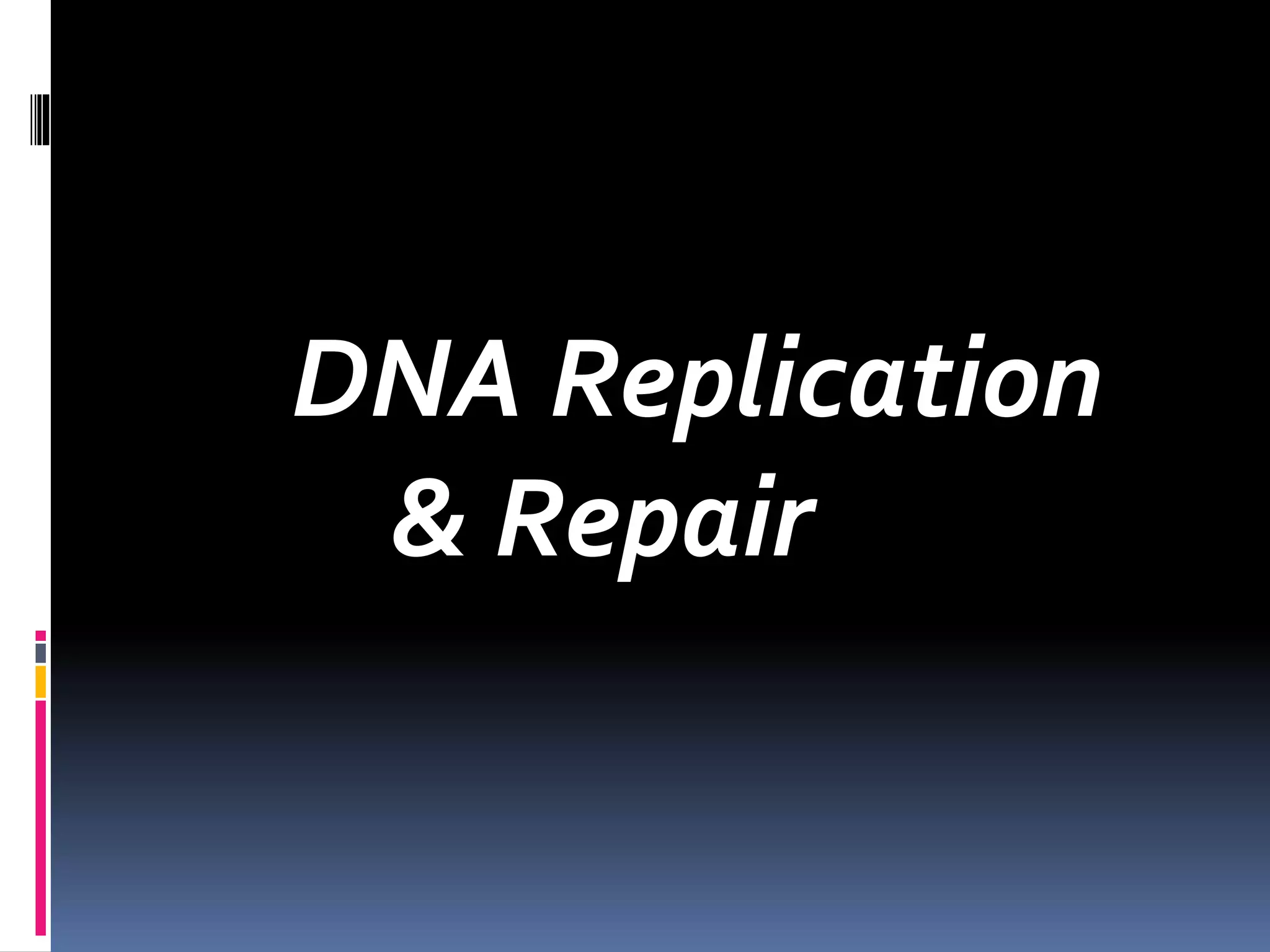 DNA REPLICATION AND REPAIR | PPTX